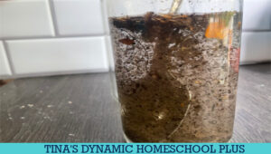Free Swiss Family Robinson Unit Study And Easy DIY Water Filter