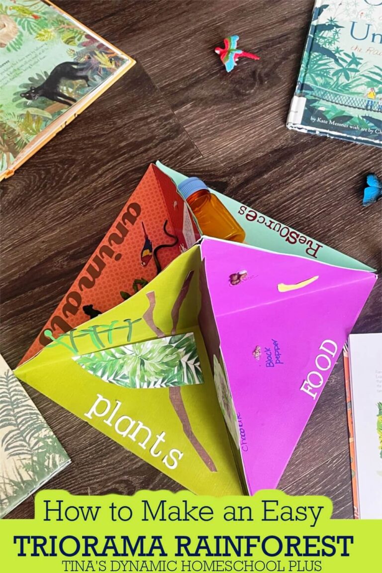 How to Make an Easy Rainforest Triorama With Kids