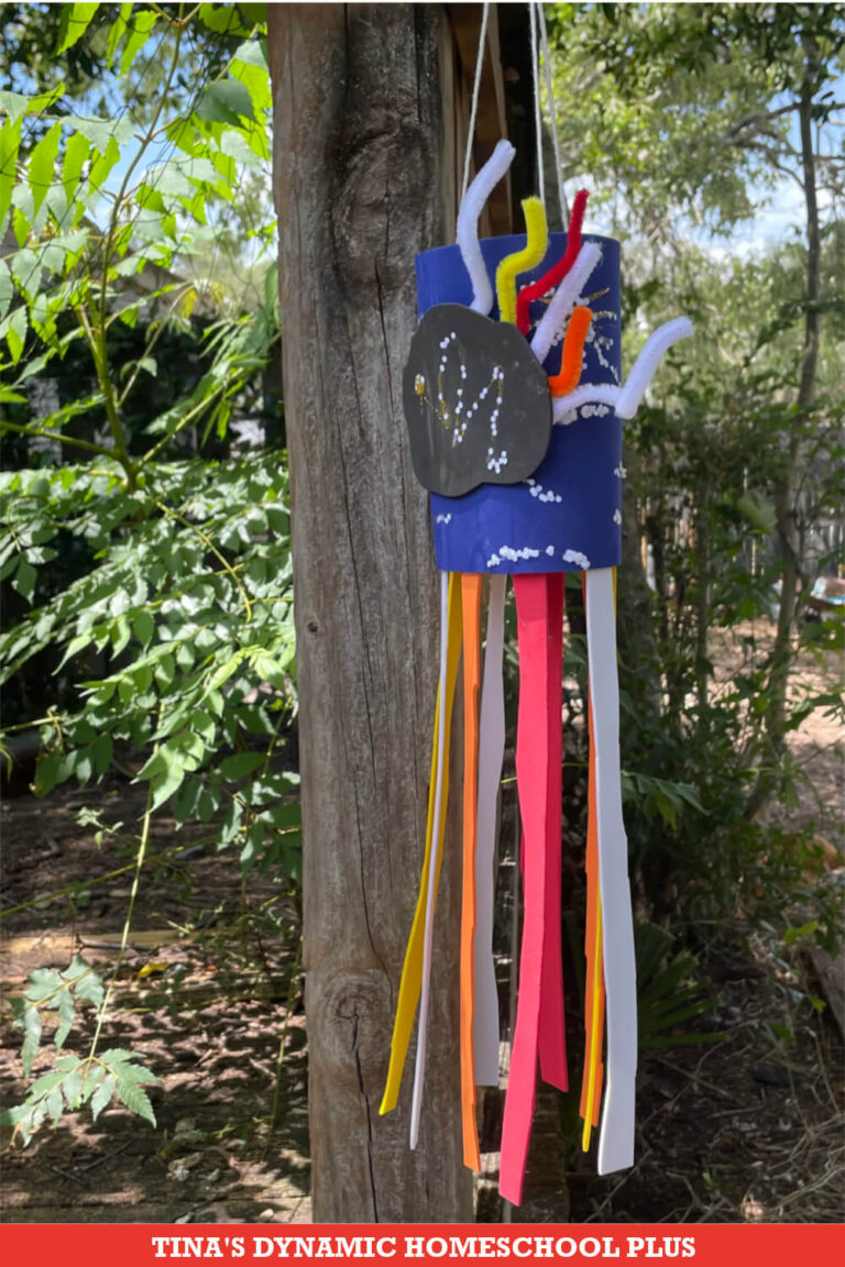 Meteors, Meteorites, Comets and Meteoroids Today And Make a Fun Windsock