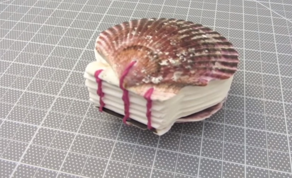 22 Hands-on Fun Ocean Sea Shell Activities For Teens
