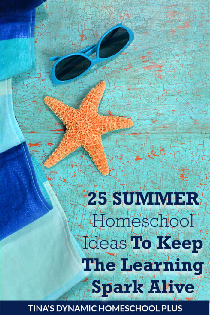25 Summer Homeschool Ideas To Keep The Learning Spark Alive