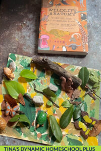 8 Animal Camouflage Activities and Resources & Fun Camouflage Art