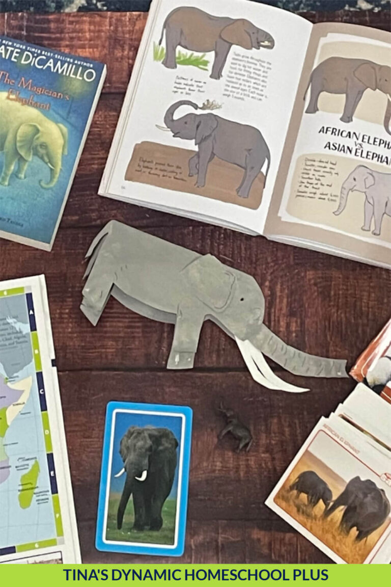 8 Facts about African Elephants and a Cute Paper Plate Elephant