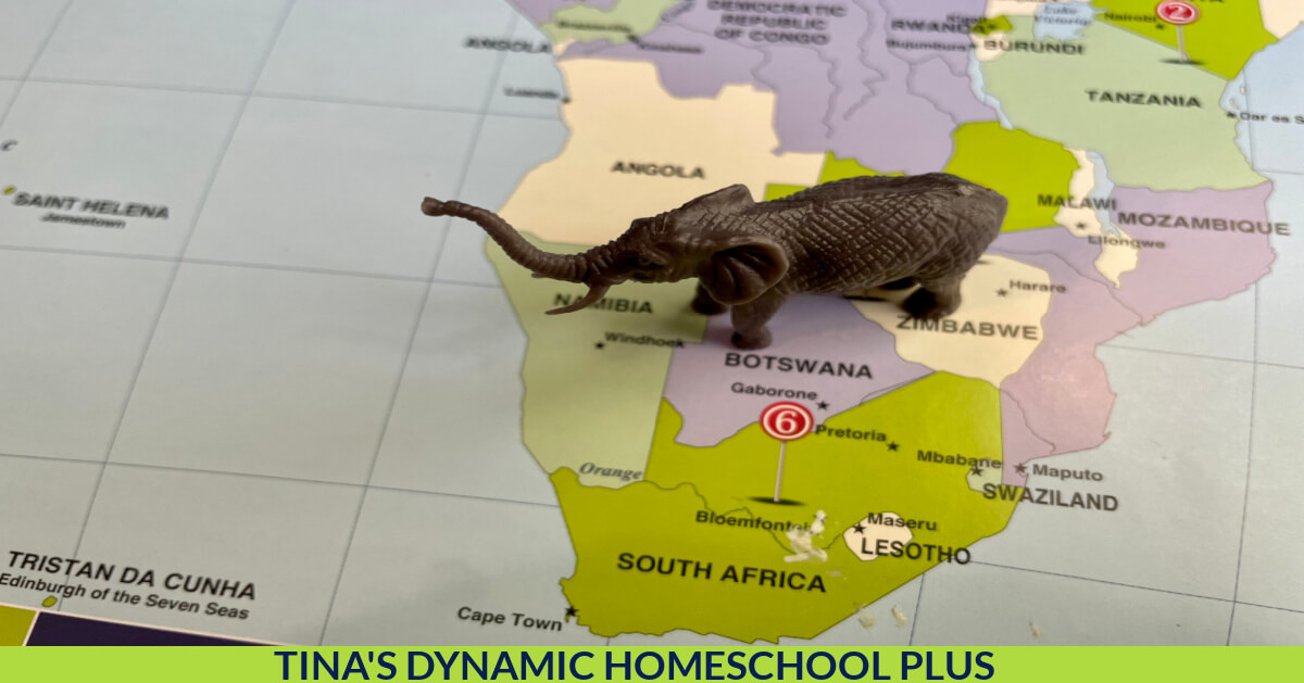 8 Facts about African Elephants and a Cute Paper Plate Elephant
