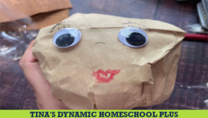 How to Make a Fun Bottle Buddy of the Trailblazing Pilot Amelia Earhart ...