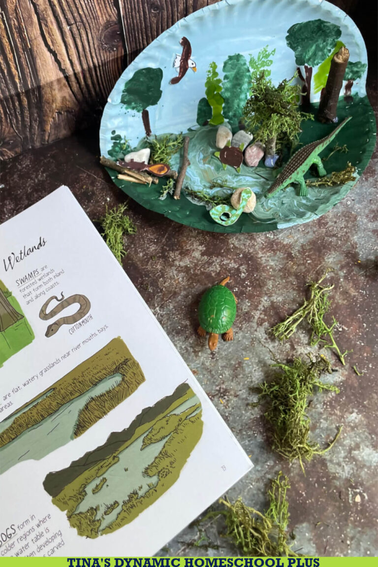 How to Make an Easy Wetlands Paper Plate Habitat Diorama