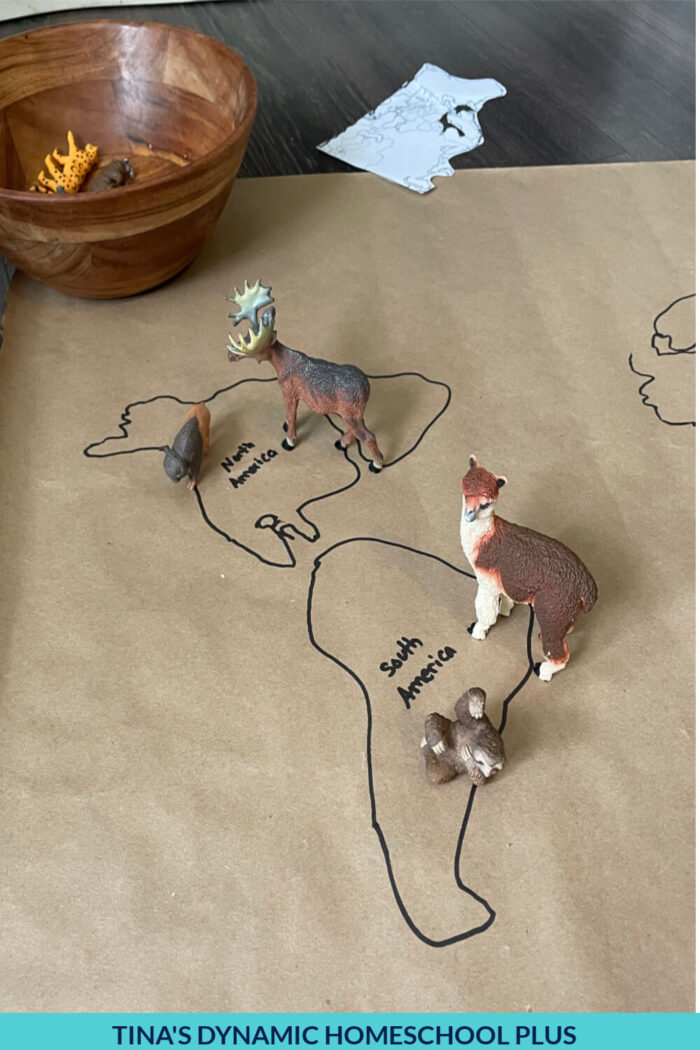 Learn About Indigenous Animal Geography Fun Activity for Preschool to ...