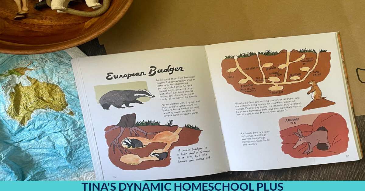 Learn About Indigenous Animal Geography Fun Activity for Preschool to ...
