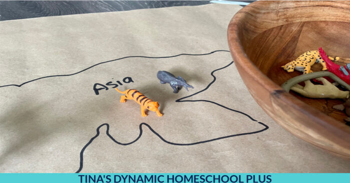Learn About Indigenous Animal Geography Fun Activity for Preschool to ...
