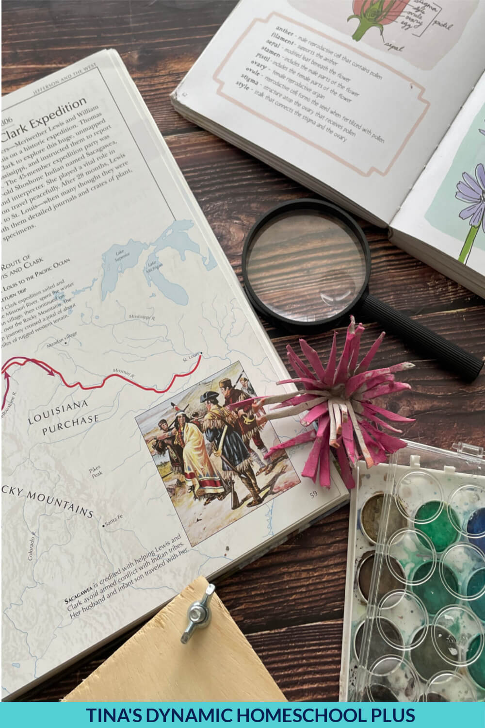 What Plants And Animals Did Lewis And Clark Discover on their Famous ...