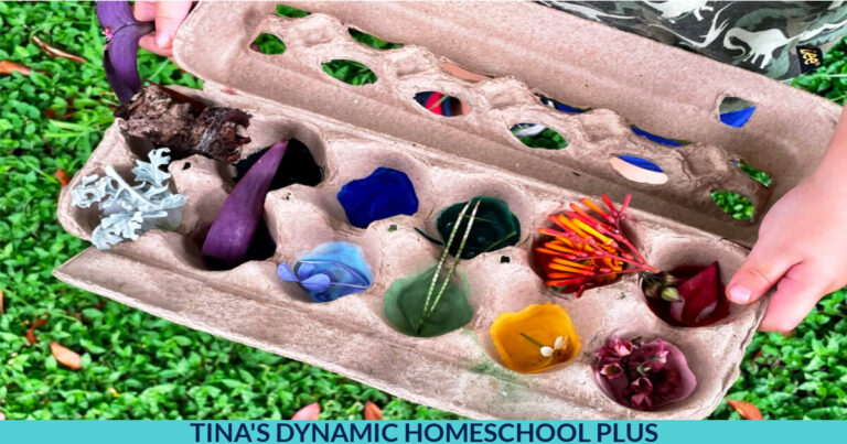 10 Egg Carton Crafts For 2 Year Olds and Fun Nature Color Match