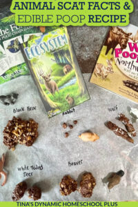 10 Gross Scat Facts and How to Make Edible Scat