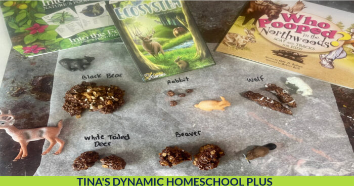 10 Gross Scat Facts and How to Make Edible Scat