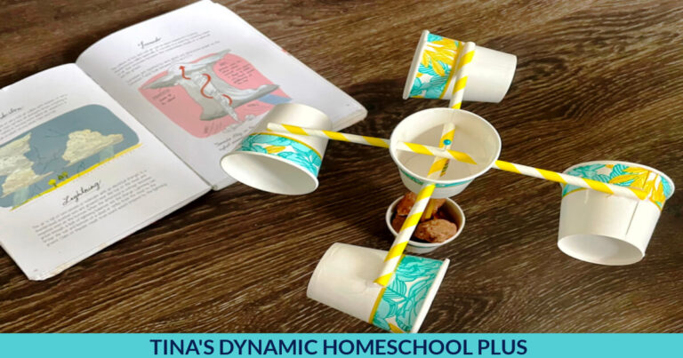 5 Simple Wind Energy Activities For Kids & Fun DIY Anemometer