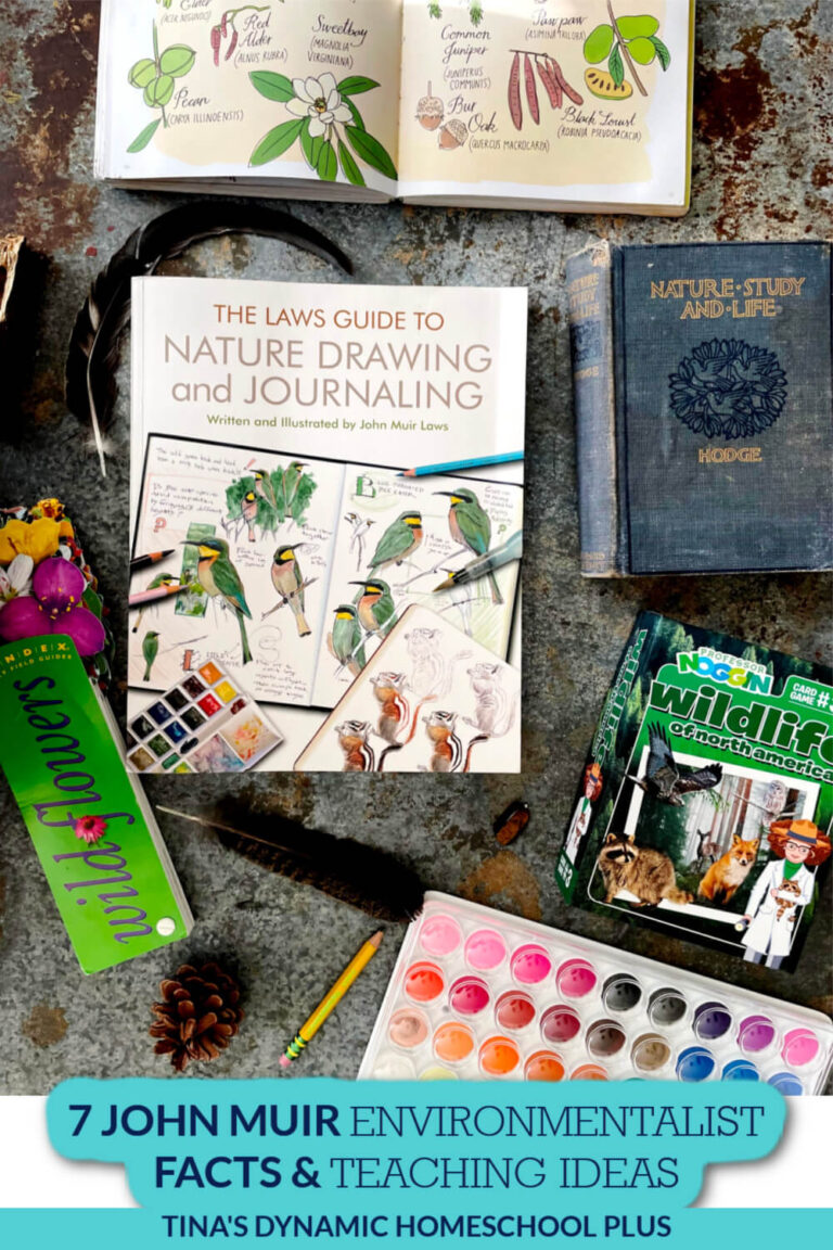 7 John Muir Environmentalist Facts and Fun Teaching Ideas