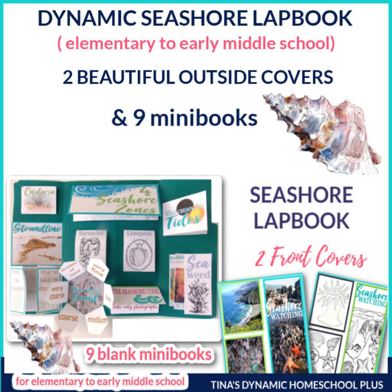 Free Super Seashore Watching Unit Study and Beach Lapbook