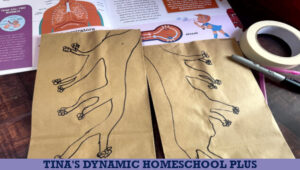 8 Facts About the Respiratory System & Fun Lung Craft for Kids
