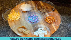 Fun Chocolate Unit Study and DIY Chocolate Candy Bar Activity