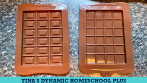 Fun Chocolate Unit Study and DIY Chocolate Candy Bar Activity