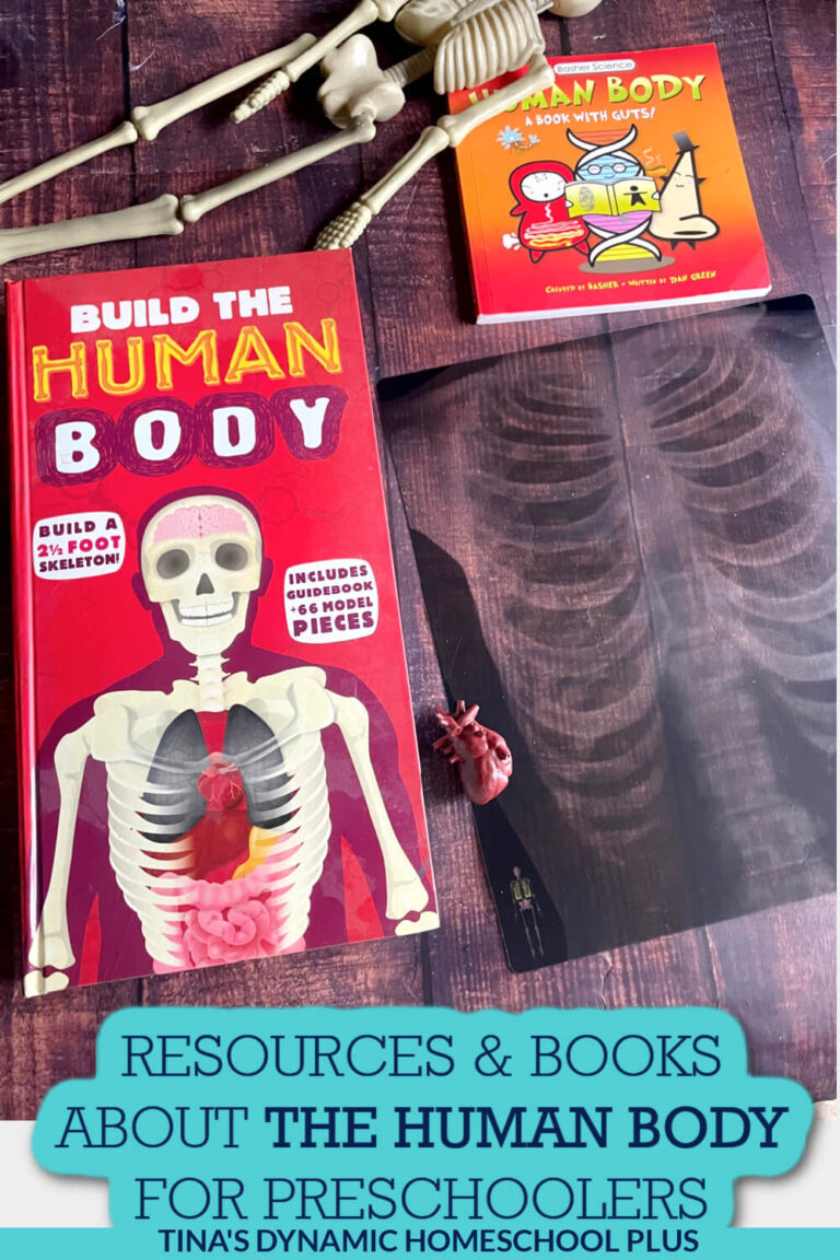 Fun Resources and Books About The Human Body For Preschoolers