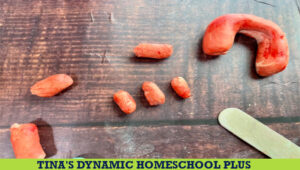 How to Make a Human DIY Heart Model Easy Craft for Kids