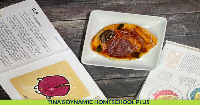 How to Turn a Pizza Into a Fun Edible Human Cell Model