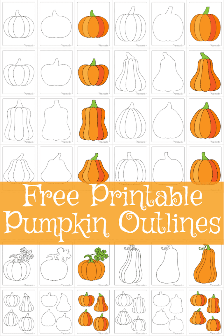 10 Pumpkin Fall Crafts and Two Yummy Pumpkin Seed Recipes