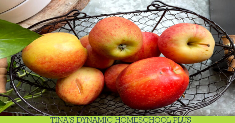 10 Fall Apple Crafts and Make a Caramel Apple Craft on a Stick