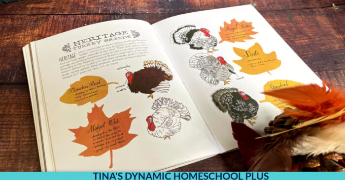 10 Fun Crafts to Do with Pinecones and a Turkey Pinecone Craft for Kids
