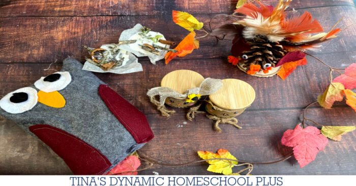 20 Fun Fall Arts And Crafts For Kids and 8 Facts About Acorns