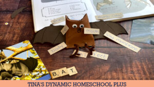 Fun Bat Anatomy Toilet Paper Roll Craft | 8 Bat Science Activities ...