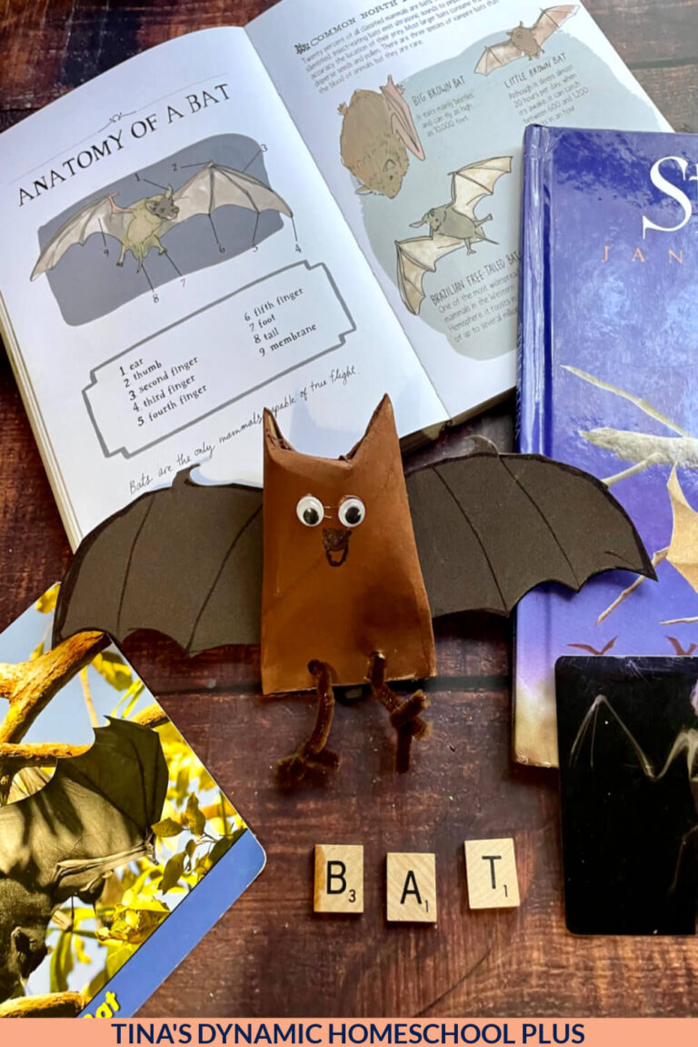 Fun Bat Anatomy Toilet Paper Roll Craft | 8 Bat Science Activities ...