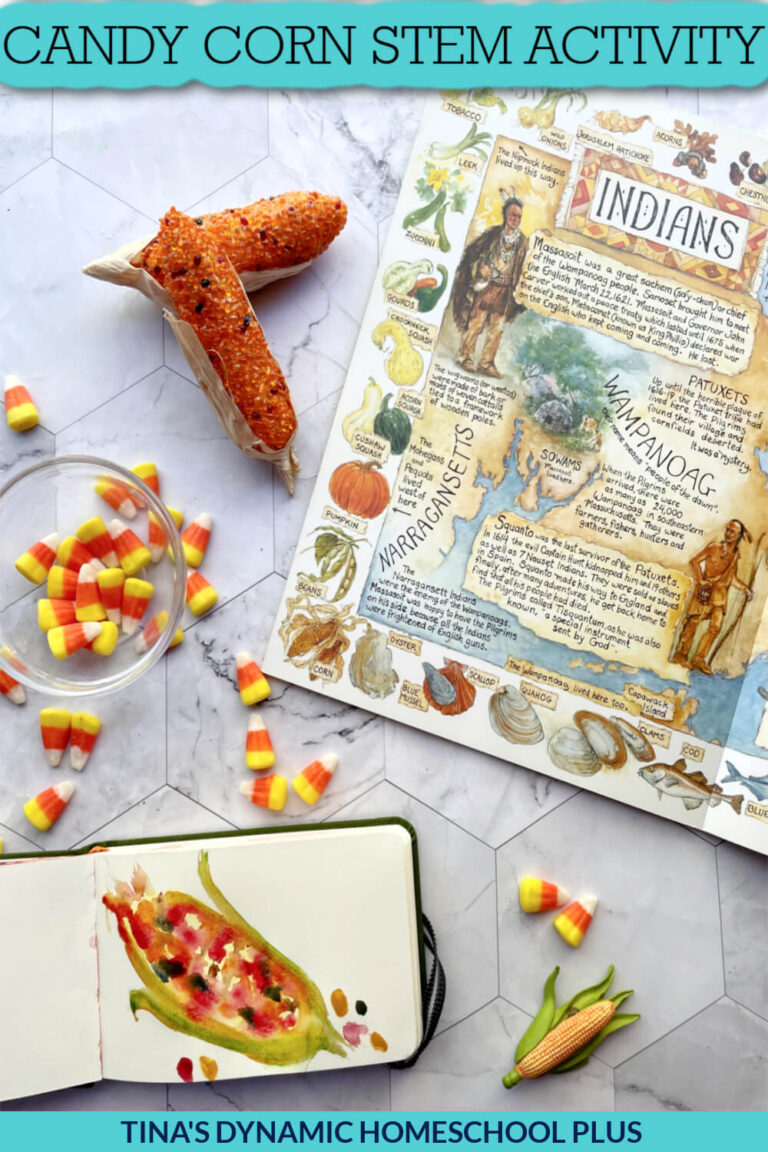 Fun Candy Corn Stem Activity Which Liquid Dissolves Candy Corn Faster
