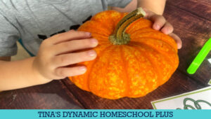 Pumpkin Anatomy | Kids Exploring the Parts of a Pumpkin And Printables