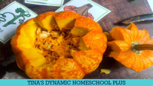 Pumpkin Anatomy | Kids Exploring the Parts of a Pumpkin And Printables