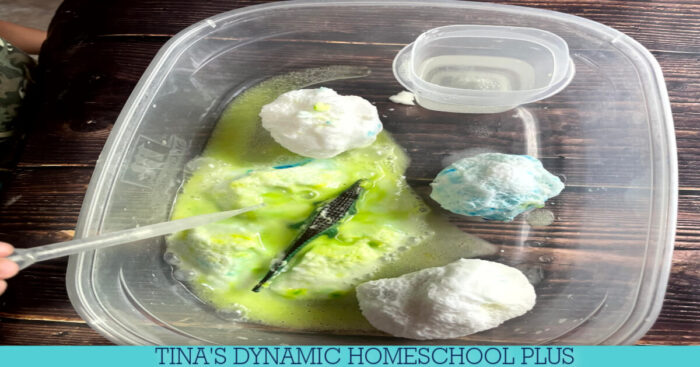 Animals That Are Born Alive And Hatched From Egg DIY Hatching Egg Activity