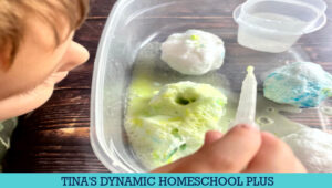 Animals That Are Born Alive And Hatched From Egg DIY Hatching Egg Activity