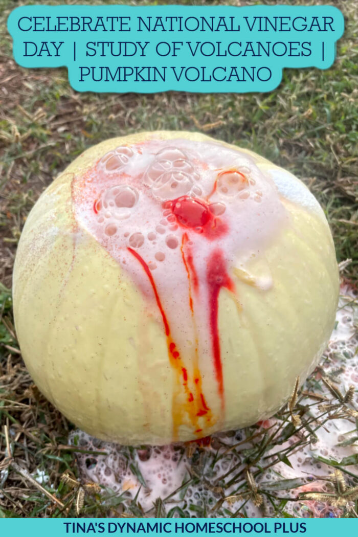 Celebrate National Vinegar Day With A Hands-on Study of Volcanoes