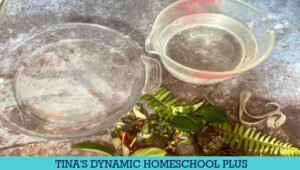 Frozen Nature Ice Sun Catcher for Preschool Play and Fun