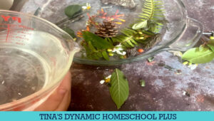 Frozen Nature Ice Sun Catcher for Preschool Play and Fun