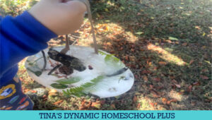 Frozen Nature Ice Sun Catcher for Preschool Play and Fun