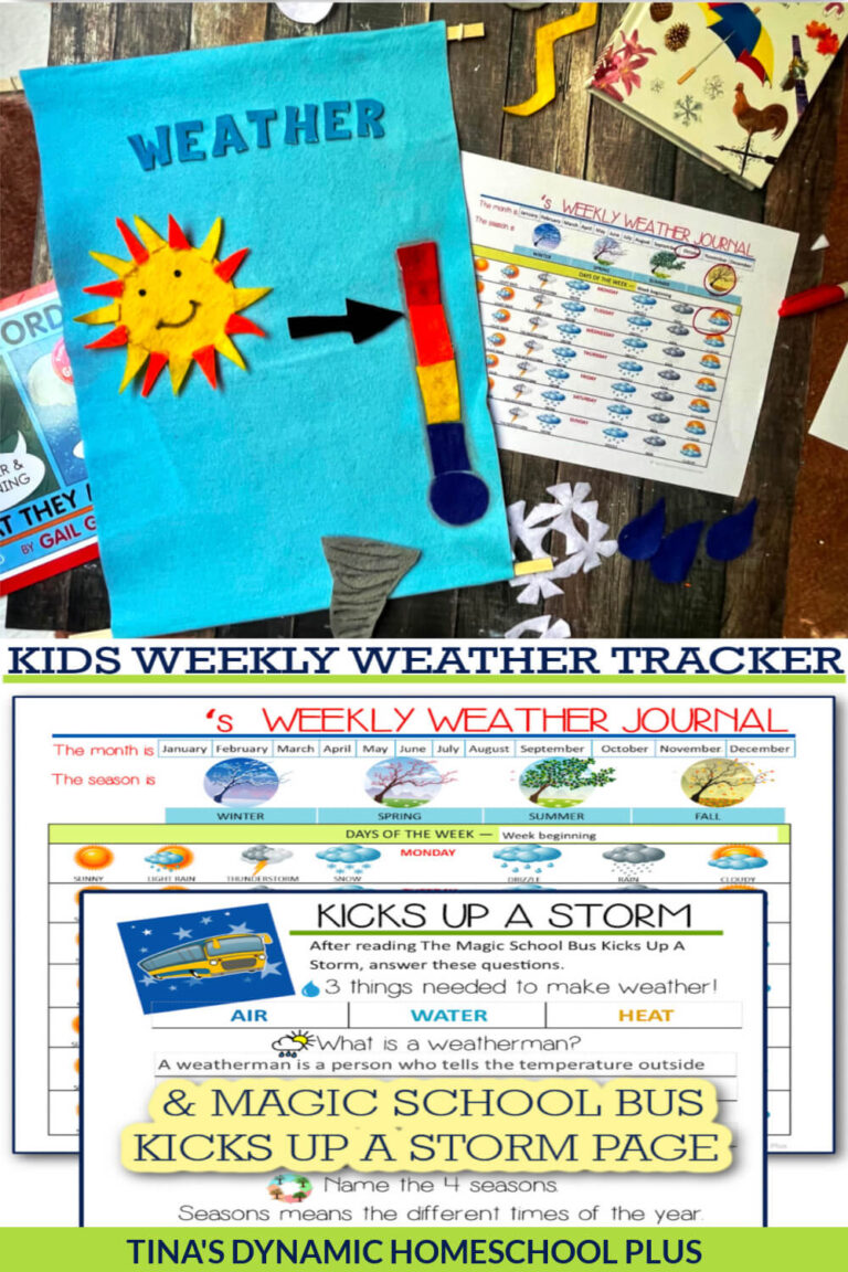 Fun Felt Weather Chart & Free The Magic School Bus Kicks Up A Storm ...