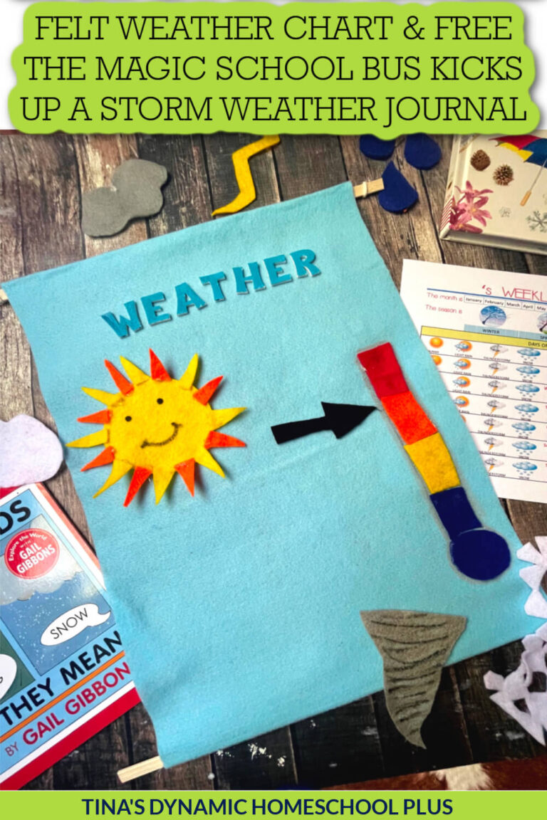 Fun Felt Weather Chart & Free The Magic School Bus Kicks Up A Storm ...