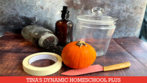 How To Do An Easy Science Pumpkin Study By A Rotting Pumpkin Experiment