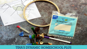 How to Make An Embroidered African Map Fun Geography Craft
