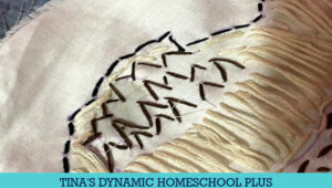 How to Make An Embroidered African Map Fun Geography Craft
