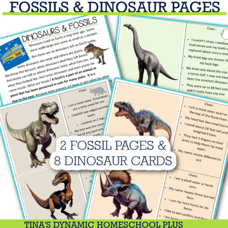 Make Fun Edible Fossils and Free Magic School Bus Fossils Worksheet