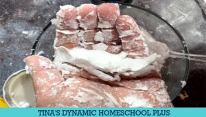 Over And Under The Snow Activities For a Free Literature Unit Study