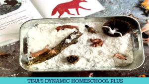 Over And Under The Snow Activities For a Free Literature Unit Study