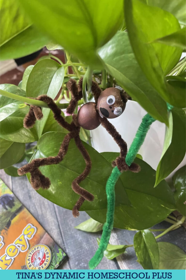How To Make A Pipe Cleaner Monkey | Howler Monkey Fun Facts